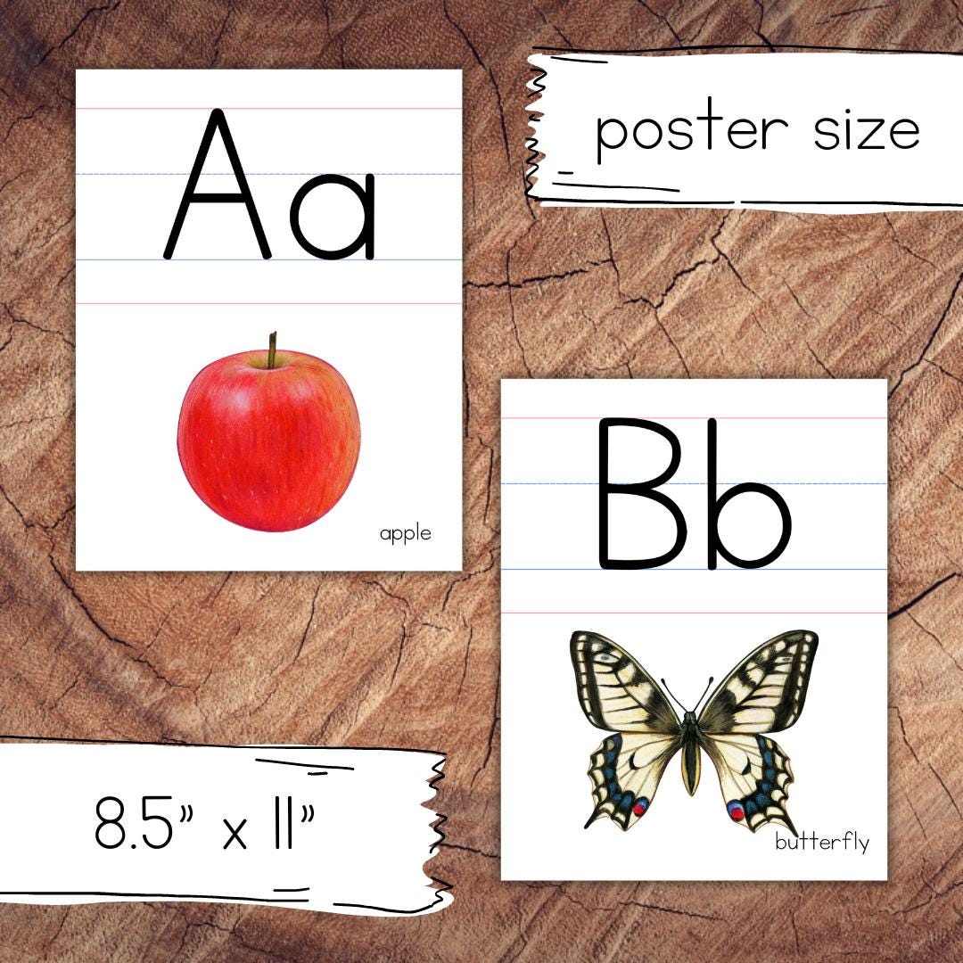 Alphabet Posters Lined, Large Format for Classroom Use - Etsy