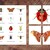 Insects Picture Matching Cards, Silhouette Matching, Toddler Preschool ...