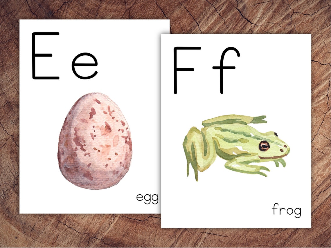 Alphabet Posters Large Format for Classroom Use - Etsy