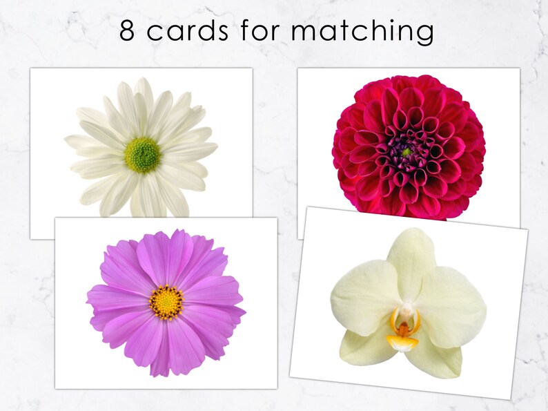 Flower Symmetry Puzzles Matching Cards Toddler Preschool | Etsy