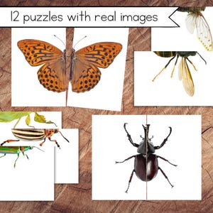 Insect Symmetry Puzzles, Matching Cards, Toddler Preschool Activity - Etsy