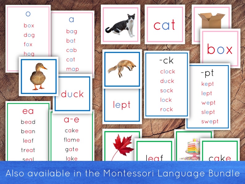 Montessori Pink Series Language Cards Learn to Read CVC | Etsy
