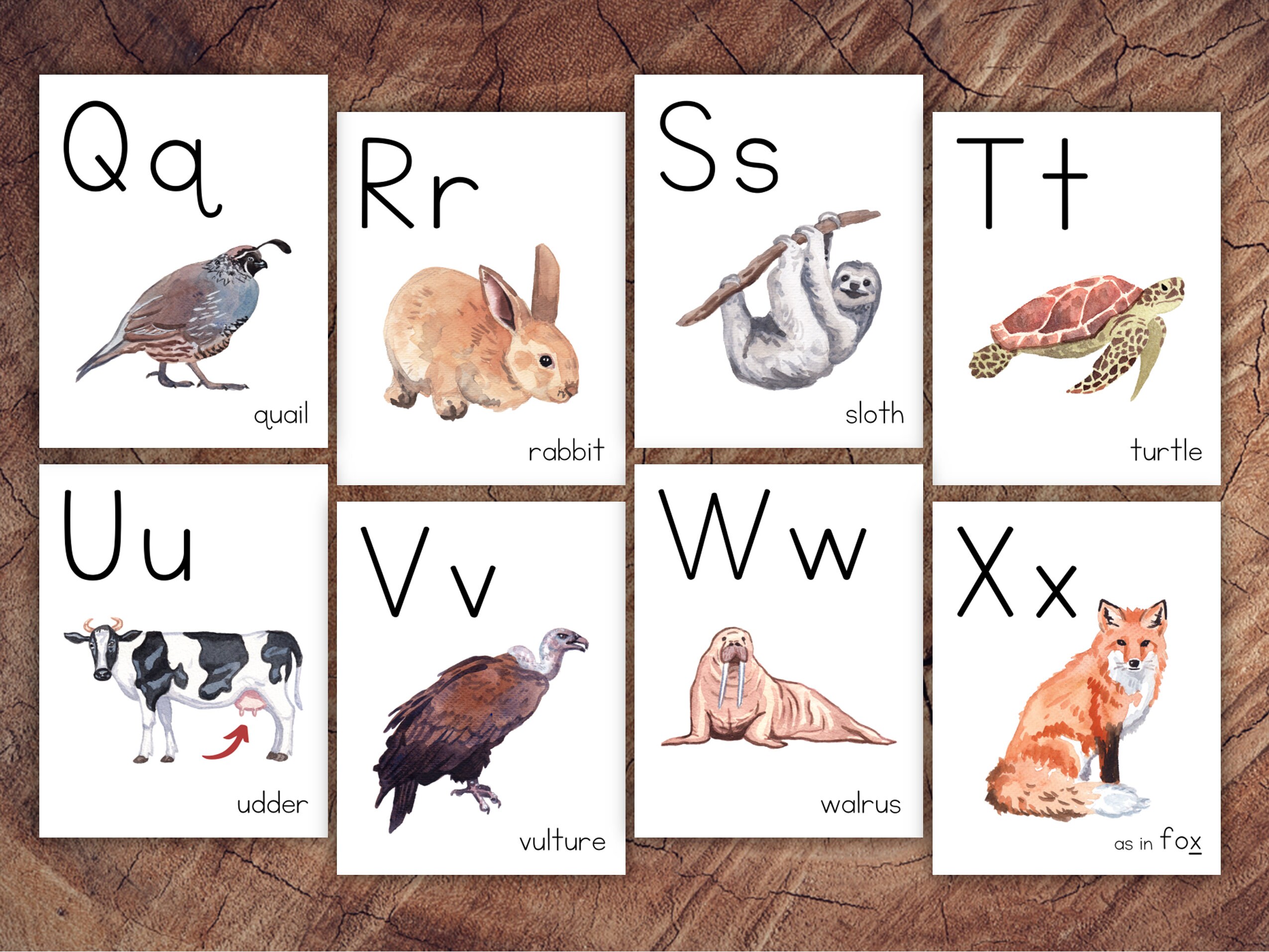 Animals of the World Alphabet Cards, Manuscript Print - Etsy