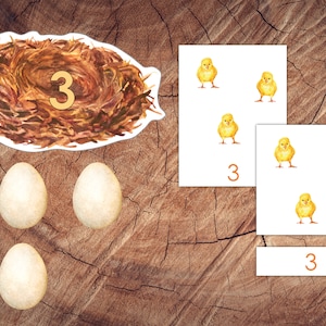 Chickens Bundle, Preschool Literacy, Math DIGITAL DOWNLOAD - Etsy Canada