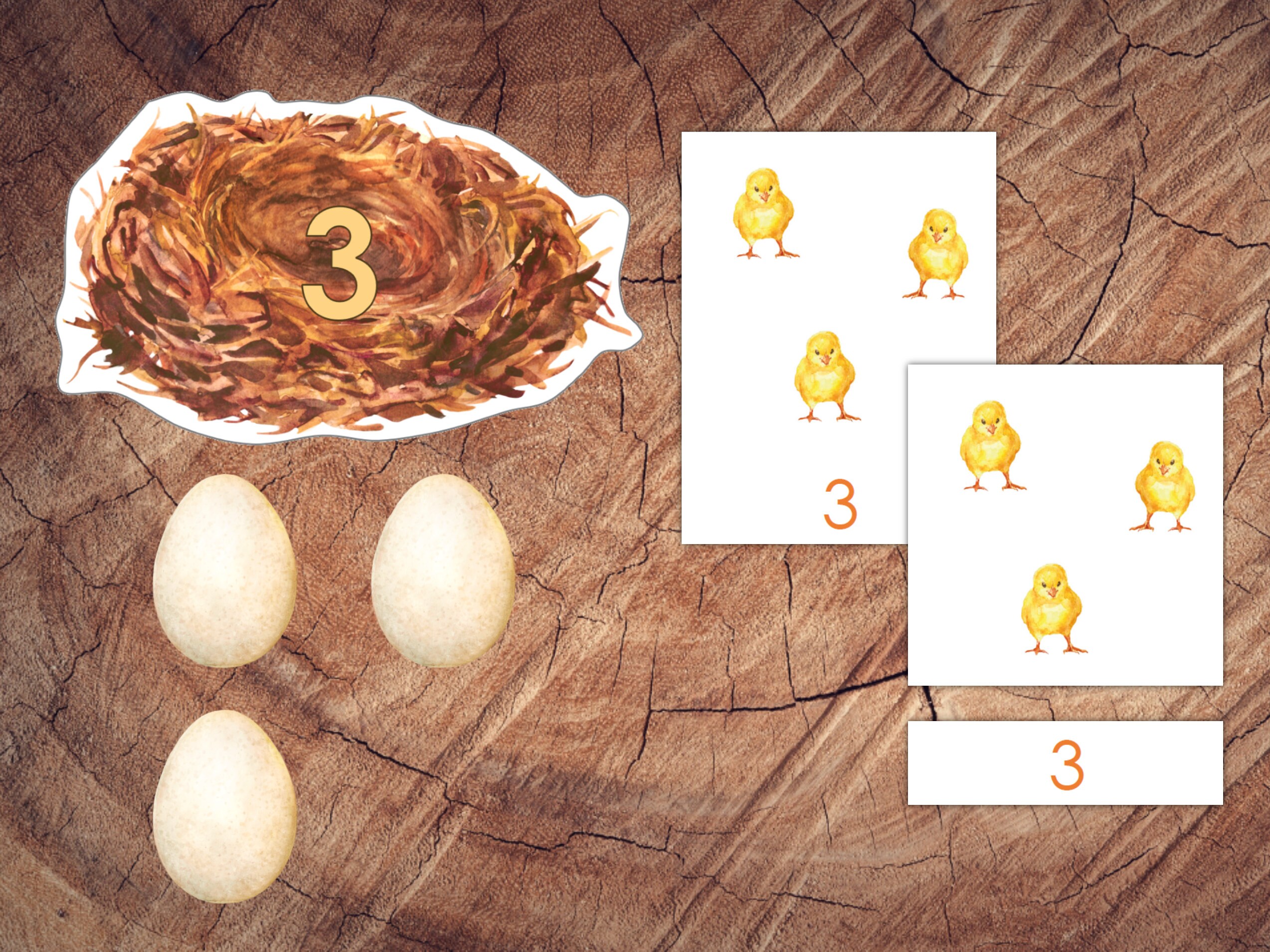 Chickens Bundle Preschool Literacy Math DIGITAL DOWNLOAD | Etsy