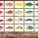 Rainbow Fish Preschool Basics Bundle, Homeschool Printable - Etsy