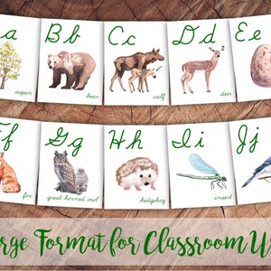 Forest Explorer Alphabet Cards Cursive Large Format for - Etsy