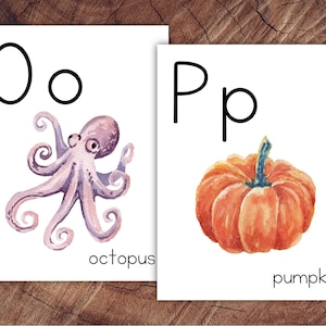 Alphabet Posters, Large Format for Classroom Use - Etsy