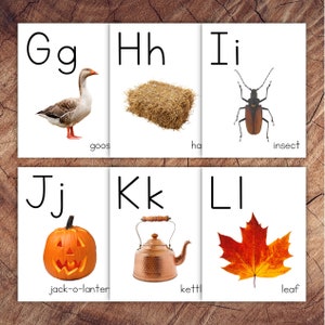 Autumn Alphabet Posters, Real Images - Etsy