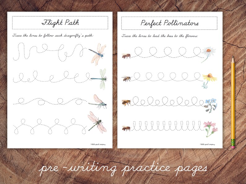 Animals of the World Cursive Workbook Cursive Handwriting - Etsy Canada