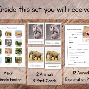Asian Animals Pack With Extension - Etsy