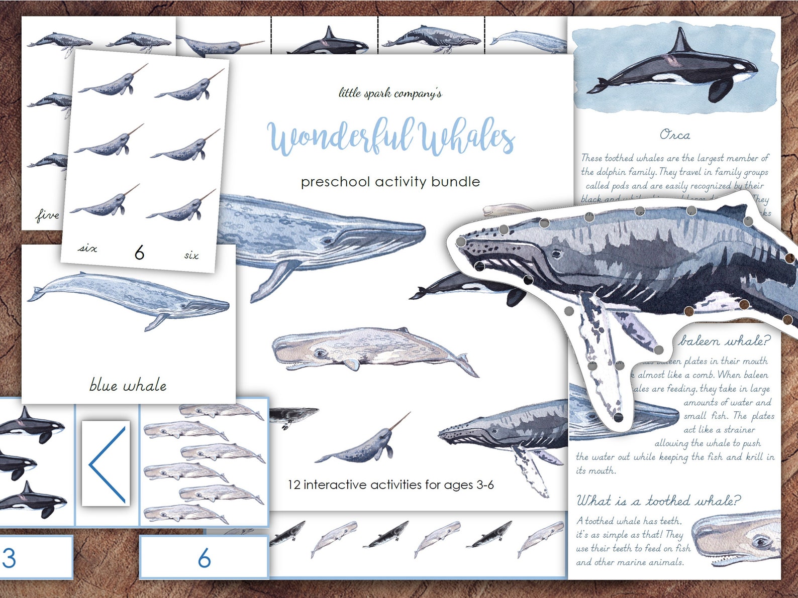 Wonderful Whales Bundle Preschool Literacy Math DIGITAL - Etsy