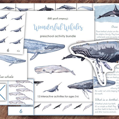 Wonderful Whales Bundle Preschool Literacy Math DIGITAL - Etsy