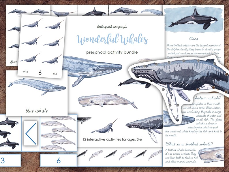 Wonderful Whales Bundle Preschool Literacy Math DIGITAL | Etsy