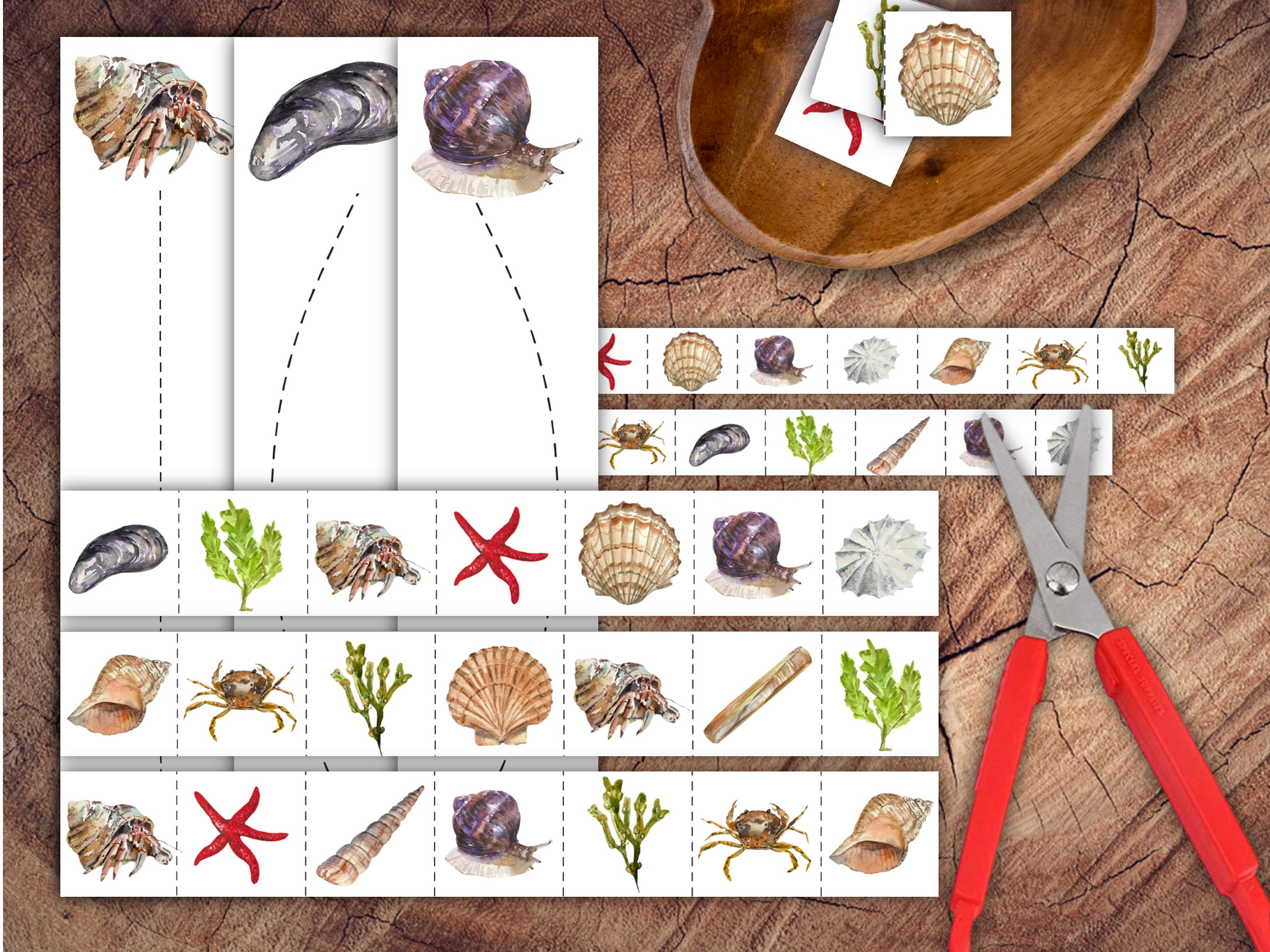 At the Beach Scissor Strips Set Preschool Scissor Practice - Etsy