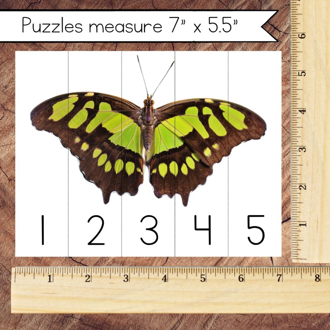 Butterfly Number Puzzles 1-5, Number Recognition, Order - Etsy