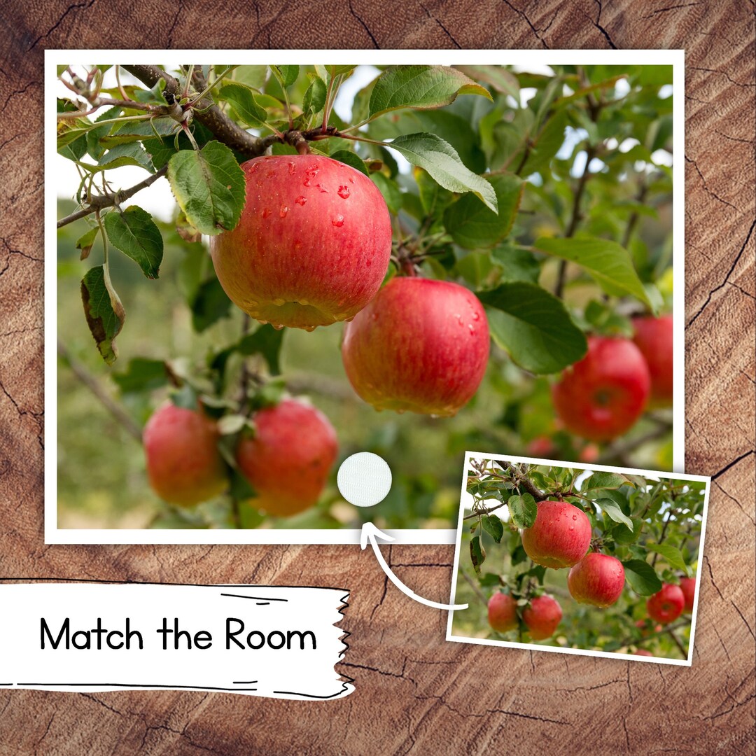 Aa is for Apple Match the Room, Montessori Preschool - Etsy
