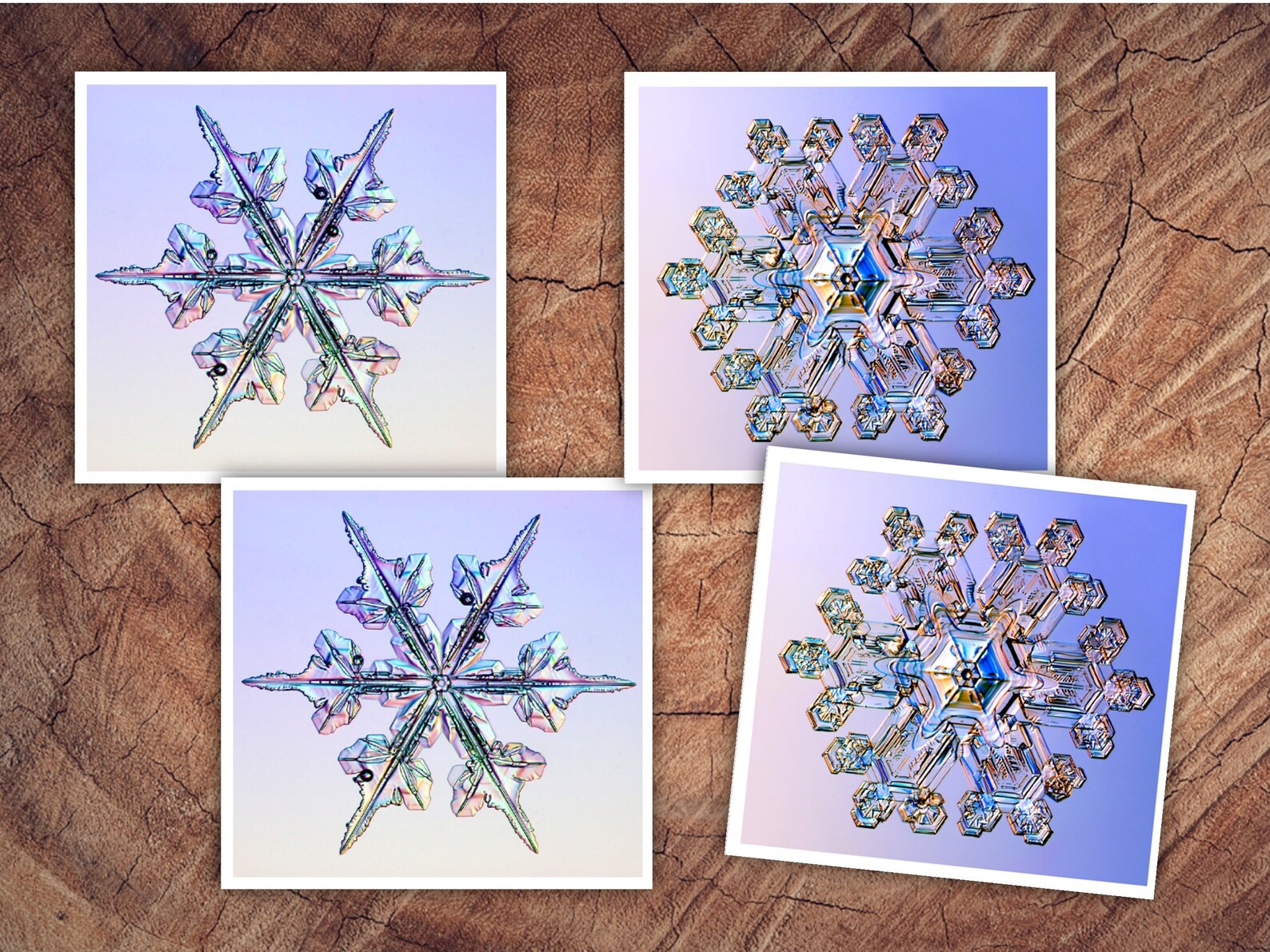 Snowflakes Bundle Preschool Literacy Math DIGITAL DOWNLOAD - Etsy