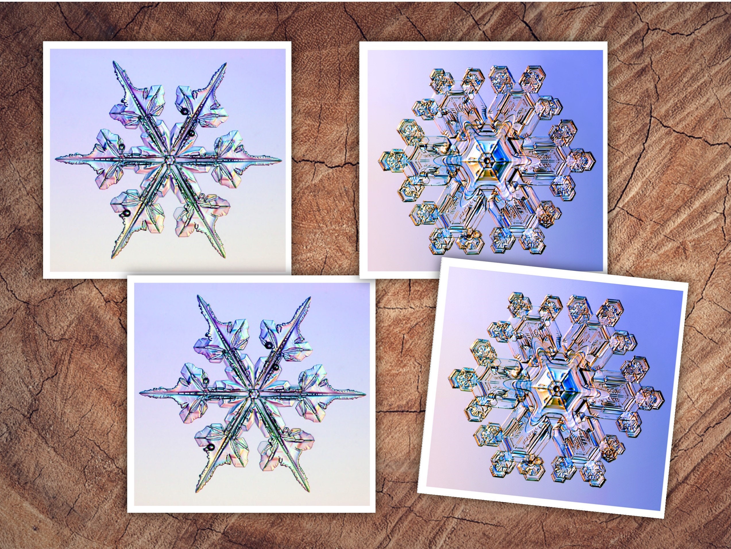 Snowflakes Bundle Preschool Literacy Math DIGITAL DOWNLOAD - Etsy