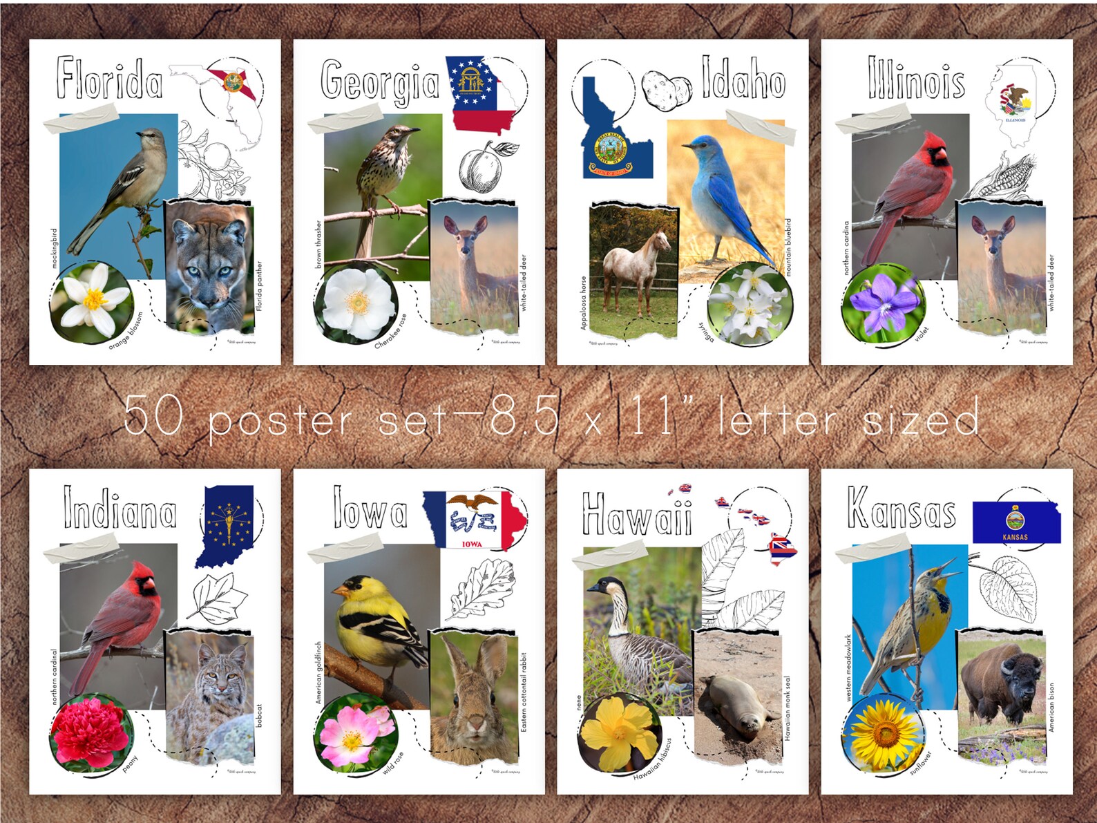 US States Poster Set Homeschool Geography | Etsy