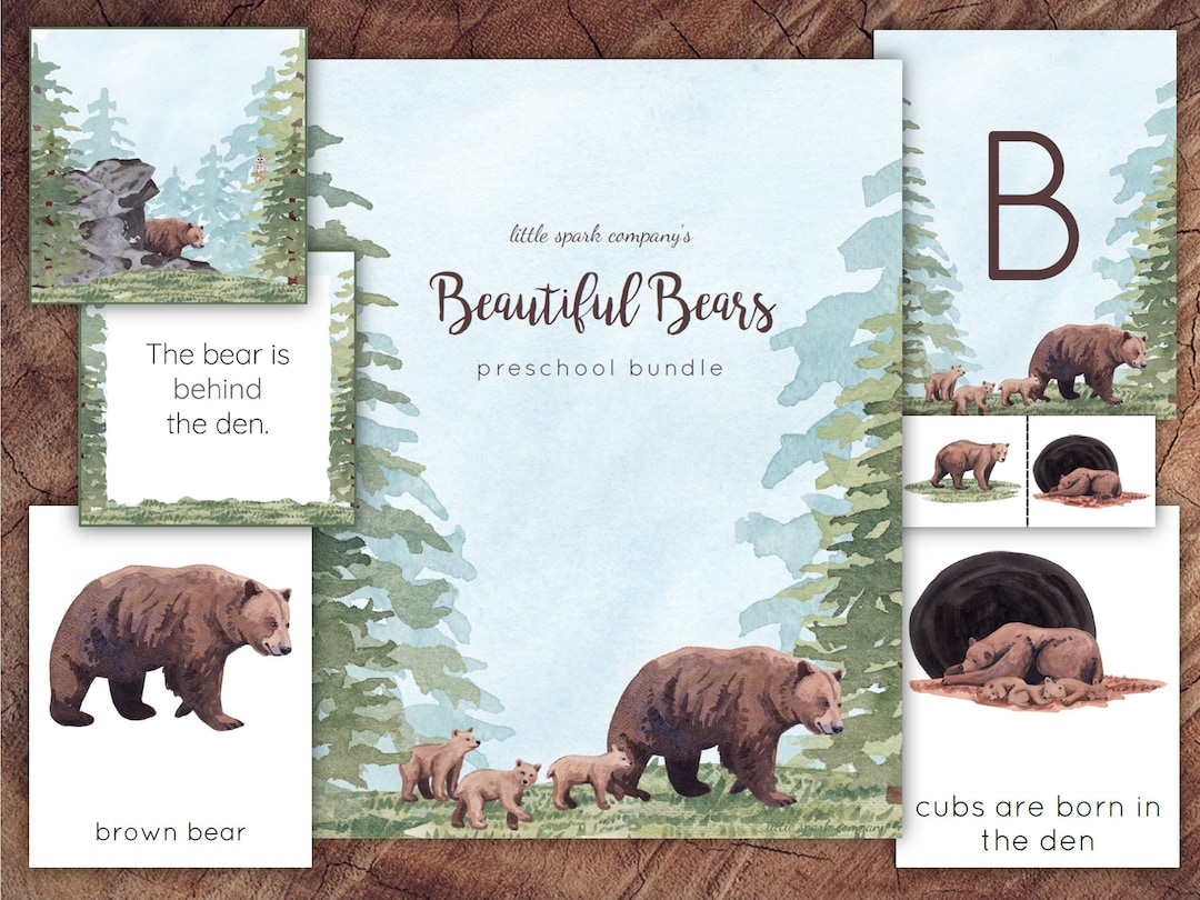 Beautiful Bears Preschool Bundle, Homeschool Printable - Etsy