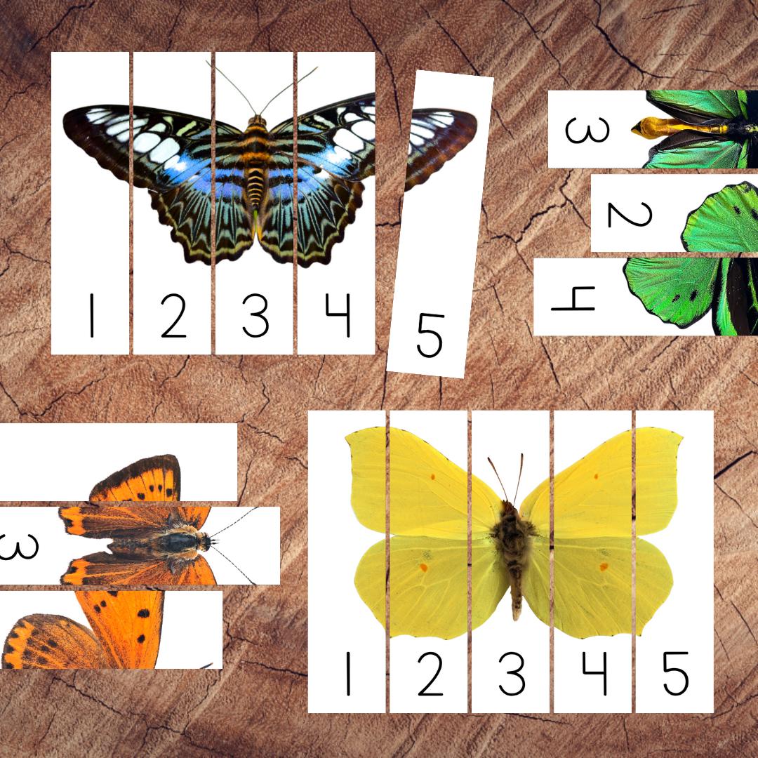 Butterfly Number Puzzles 1-5, Number Recognition, Order - Etsy