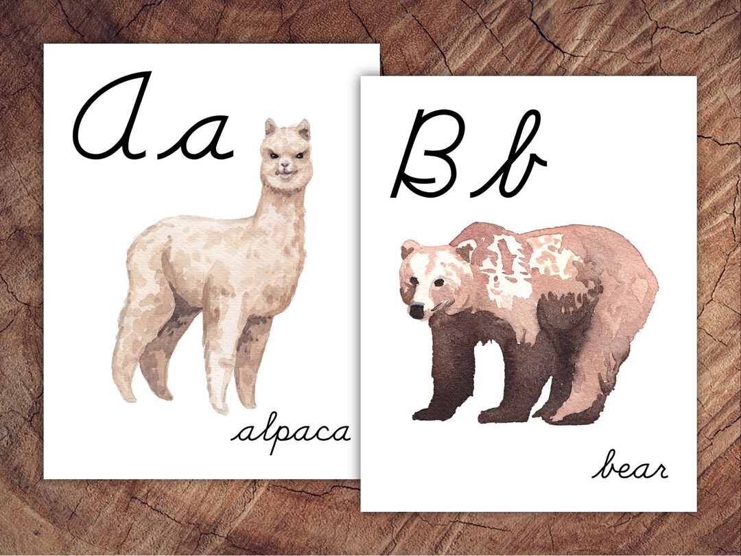 Animals of the World Alphabet Posters, CURSIVE, Large Format for ...