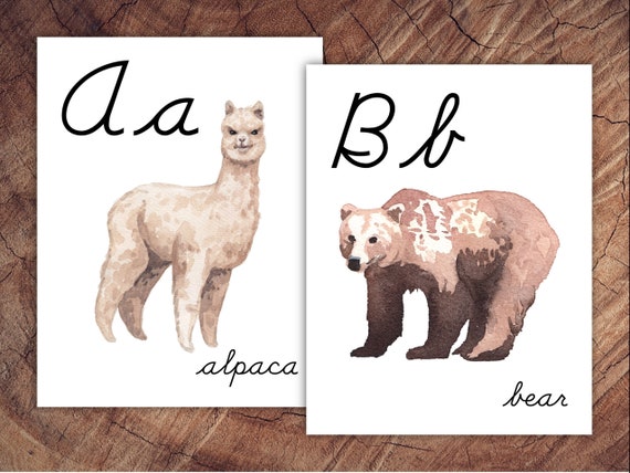 Animals of the World Alphabet Posters CURSIVE Large Format | Etsy
