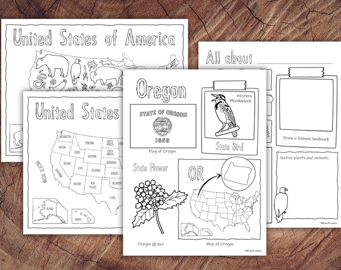 Geography Lapbook Teach Maps & Globes Geography Reading Passages ...