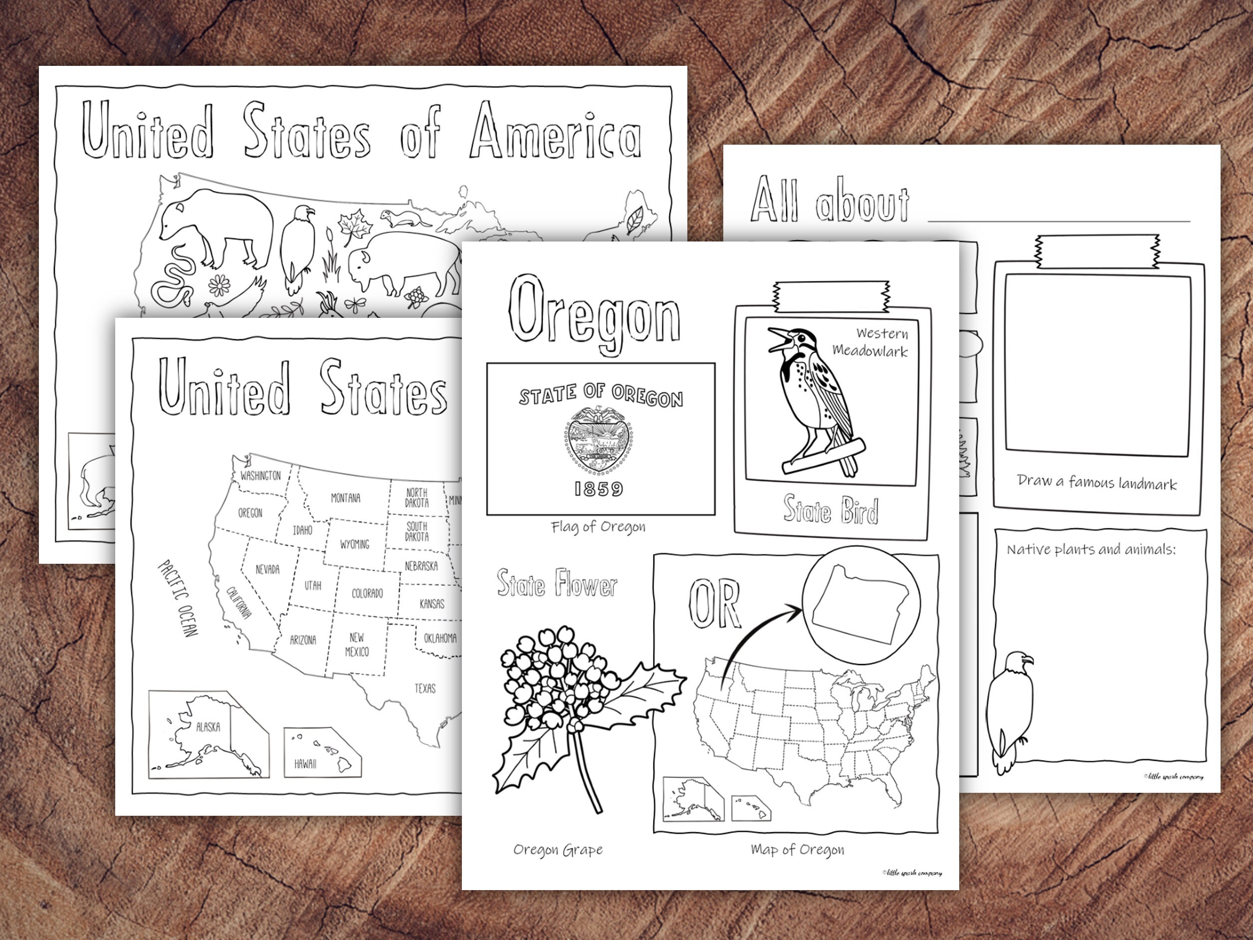 US States Research Pack Homeschool Geography - Etsy