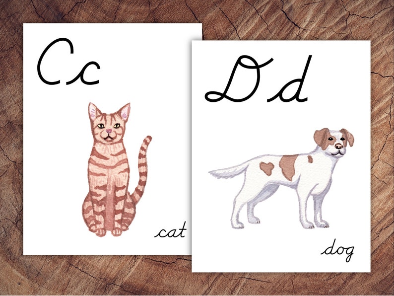 Animals of the World Alphabet Posters CURSIVE Large Format | Etsy