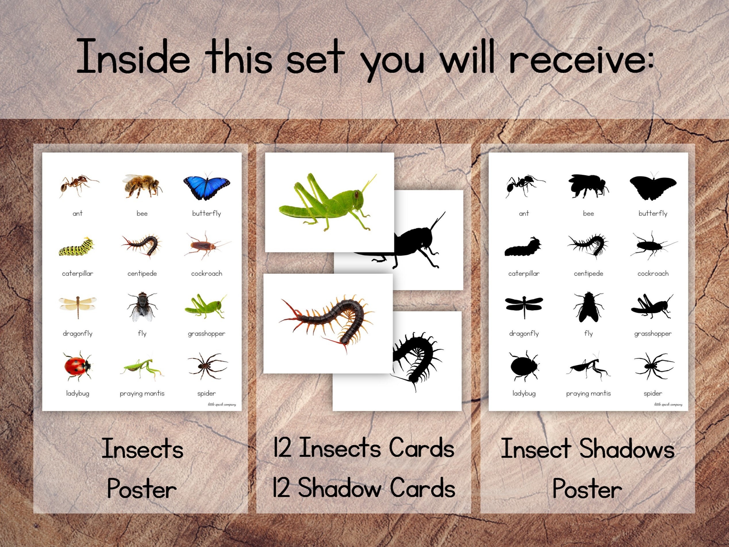 Insects Picture Matching Cards, Silhouette Matching, Toddler Preschool ...