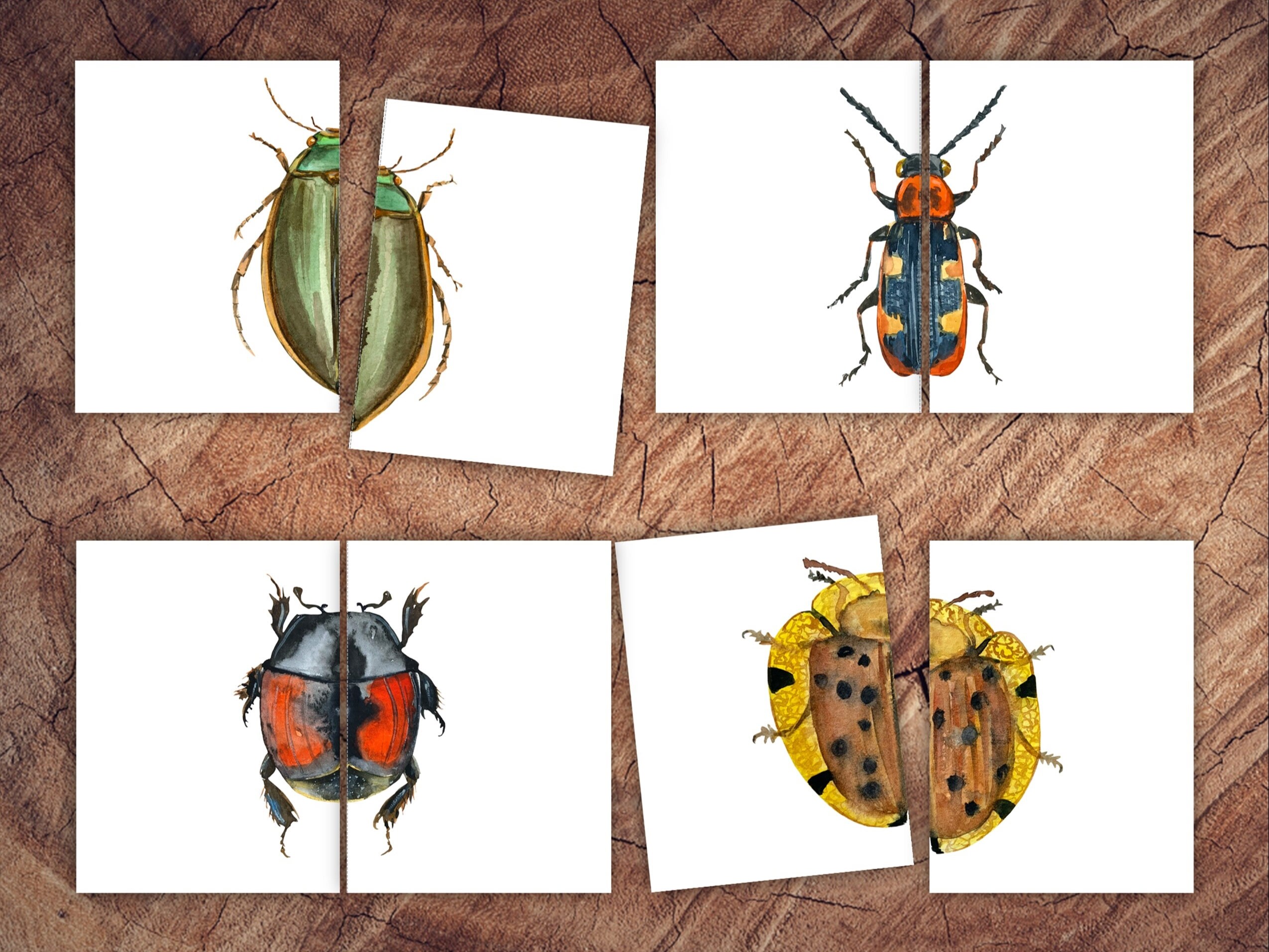 Brilliant Beetles Preschool Bundle, Homeschool Printable - Etsy