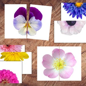 Flower Symmetry Puzzles, Matching Cards, Toddler Preschool Activity - Etsy