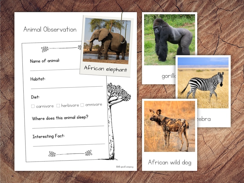 African Animals Pack With Extension - Etsy