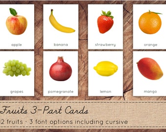 Montessori Nomenclature Cards - Etsy