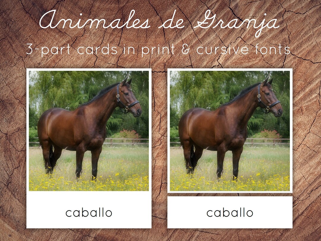 SPANISH Farm Animals 3 Part Cards Montessori Nomenclature - Etsy