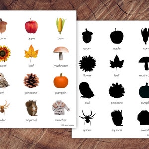 Fall Picture Matching Cards, Silhouette Matching, Toddler Preschool ...