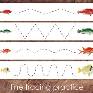 Rainbow Fish Preschool Basics Bundle, Homeschool Printable - Etsy