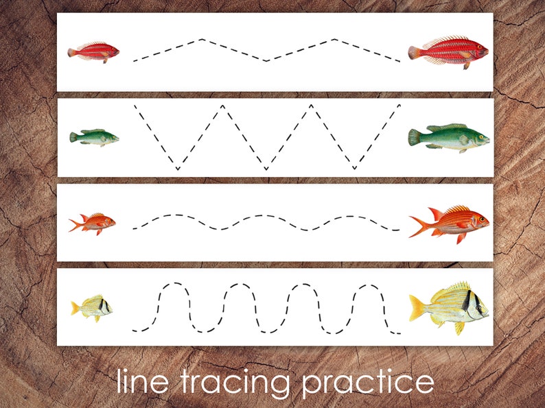 Rainbow Fish Preschool Basics Bundle Homeschool Printable - Etsy