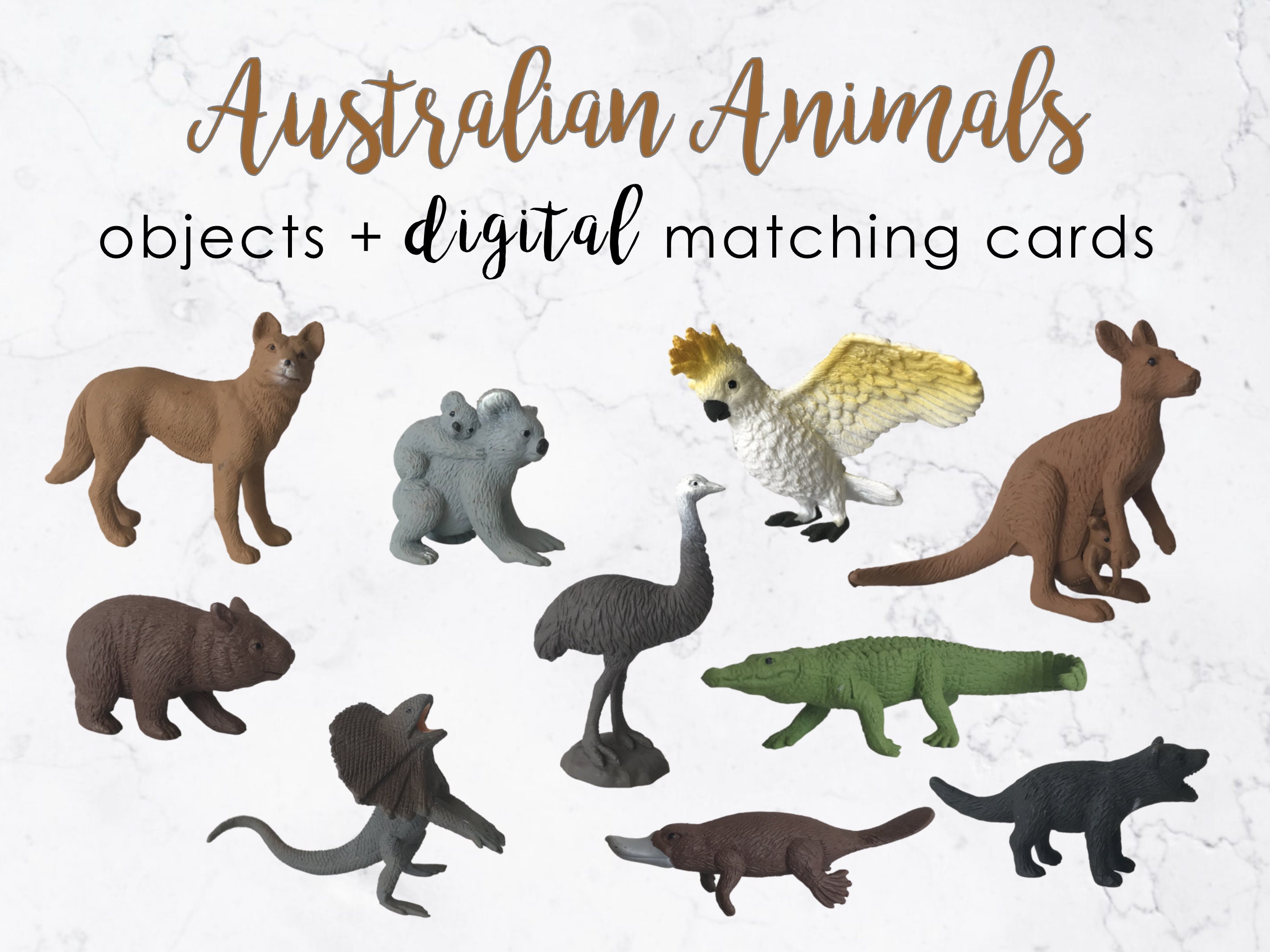 Australian Animals Objects and Digital Matching Cards | Etsy