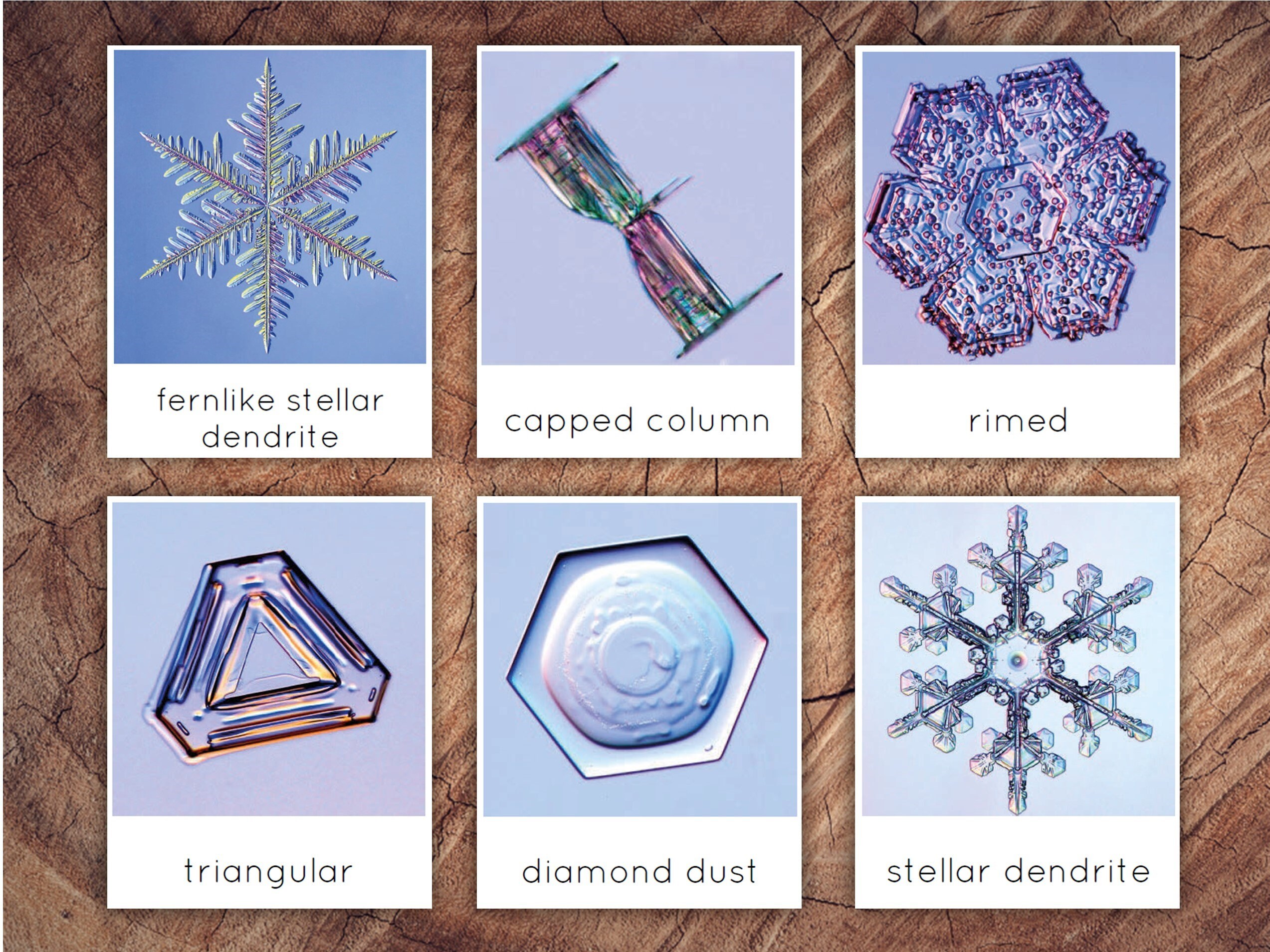 Snowflakes Bundle Preschool Literacy Math DIGITAL DOWNLOAD - Etsy