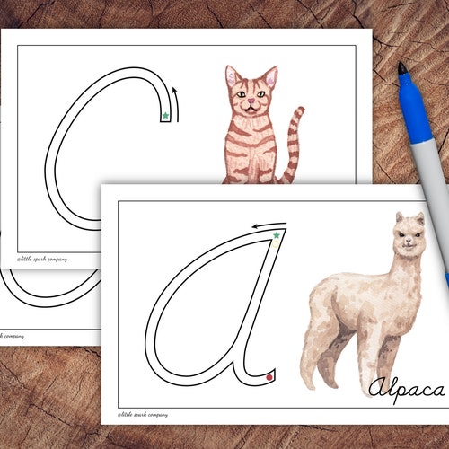 Printing Primer Cards Lowercase Edition - Etsy