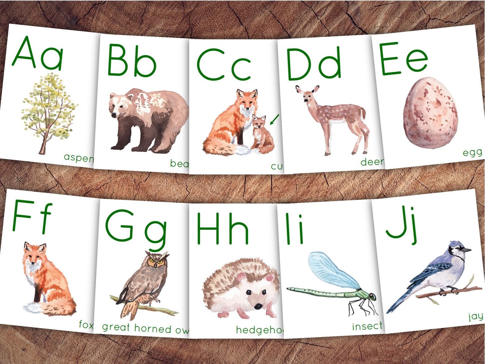 Forest Explorer Alphabet Cards Woodland Animal Nursery Decor - Etsy