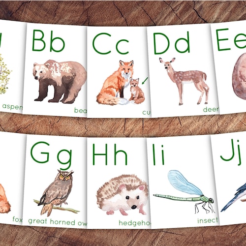 Forest Explorer Alphabet Cards Woodland Animal Nursery Decor - Etsy