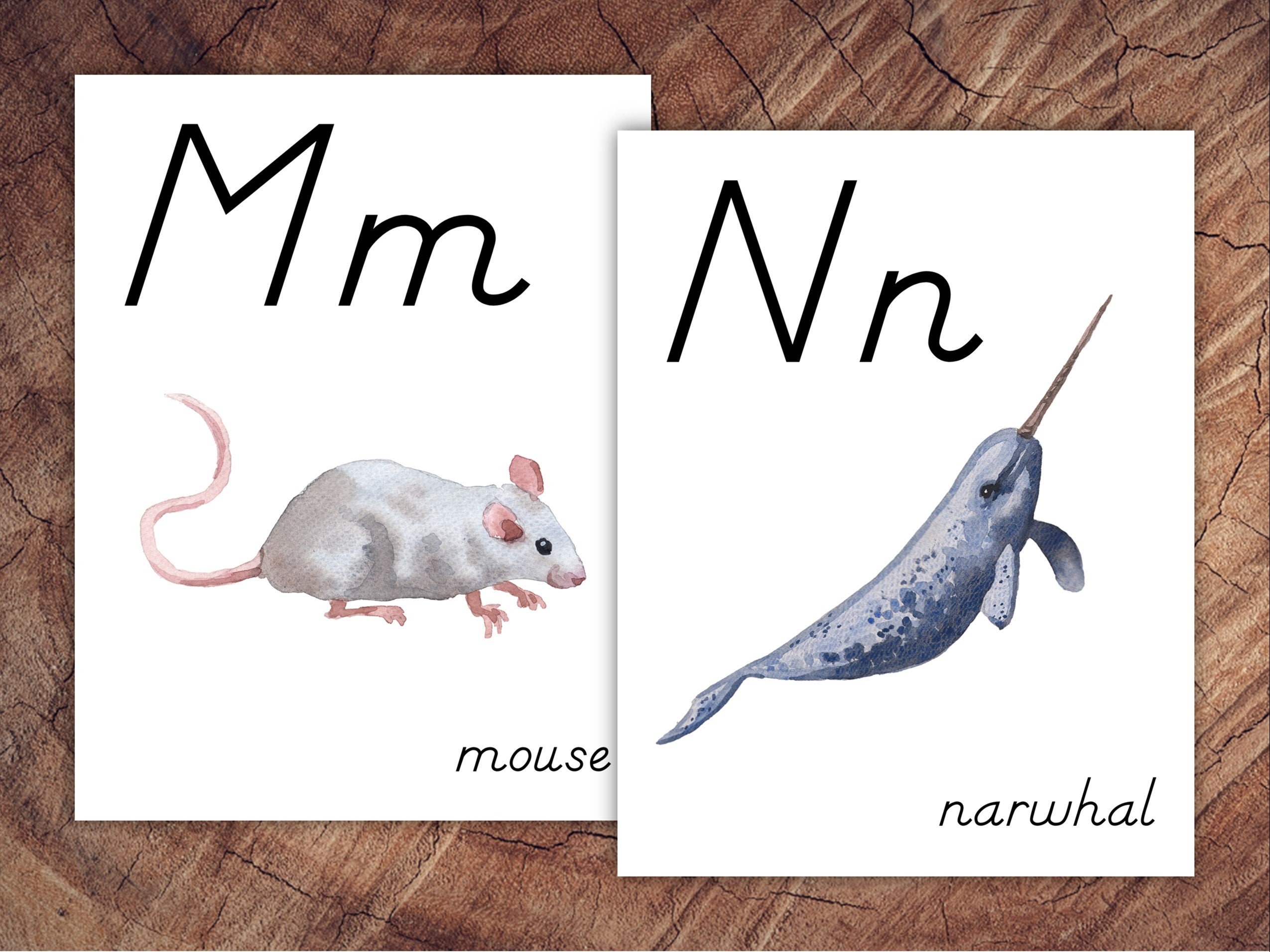 Animals of the World Alphabet Posters D'nealian-style | Etsy