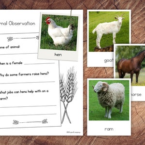 Farm Animals Pack With Extension - Etsy