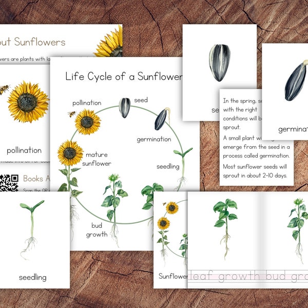 Life Cycle Puzzle - Etsy