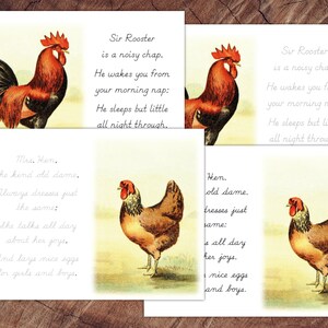 Chickens Bundle, Preschool Literacy, Math DIGITAL DOWNLOAD - Etsy Canada