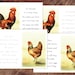 Chickens Bundle, Preschool Literacy, Math DIGITAL DOWNLOAD - Etsy Canada